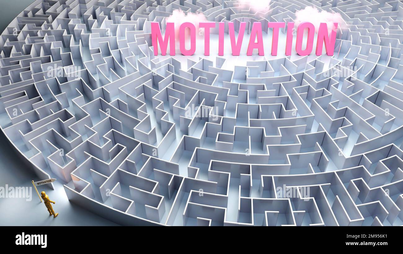 Motivation and a difficult path, confusion and frustration in seeking ...