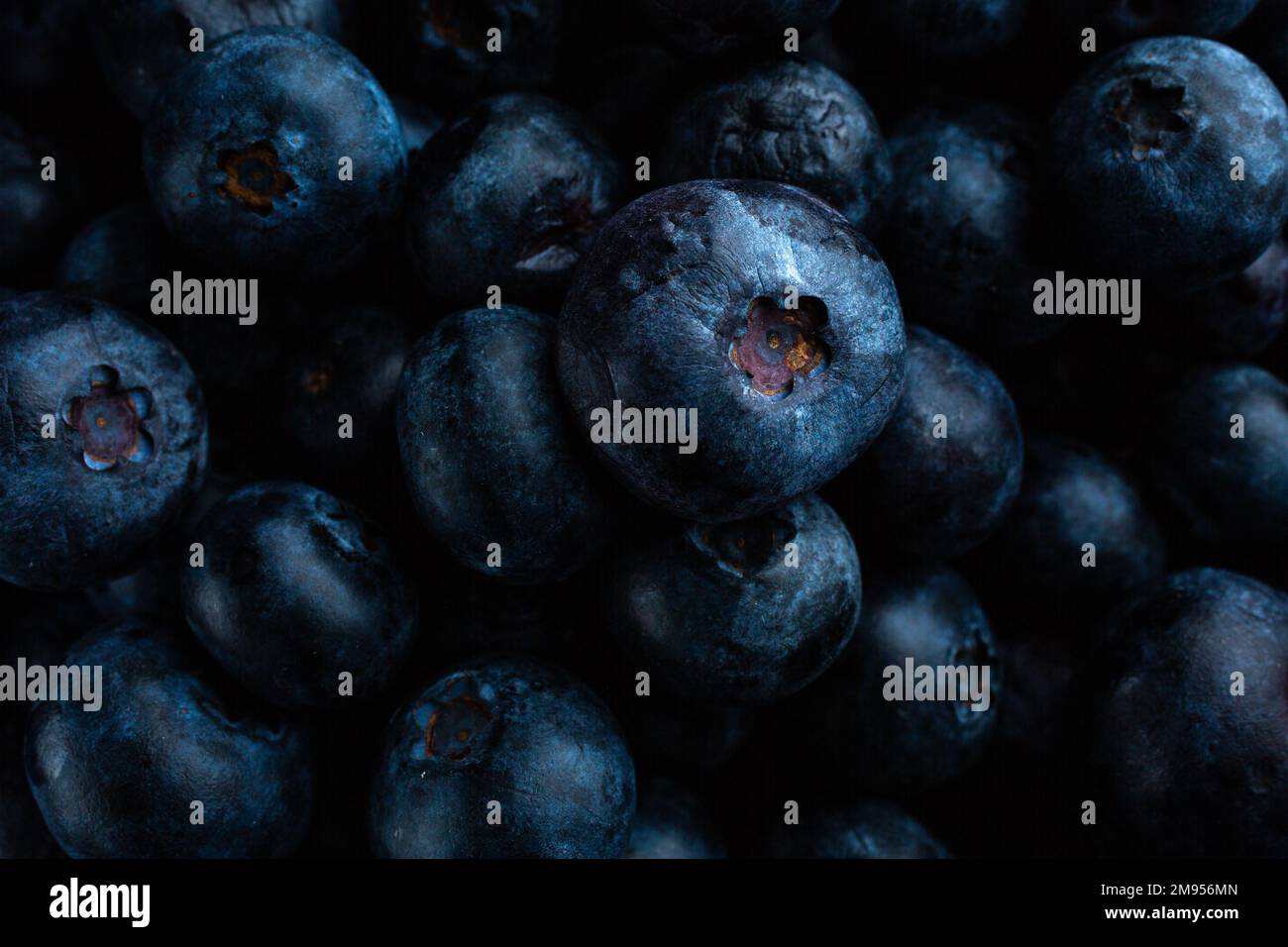 A closeup shot of a bunch of blueberries for backgrounds and overlays ...
