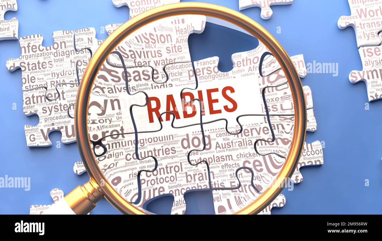 Rabies as a complex and multipart topic under close inspection ...