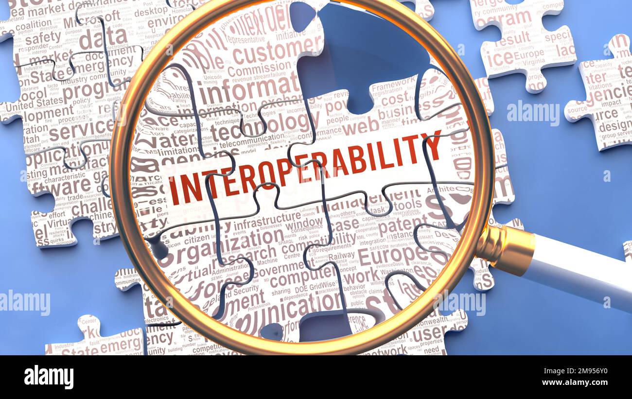 Interoperability as a complex and multipart topic under close ...