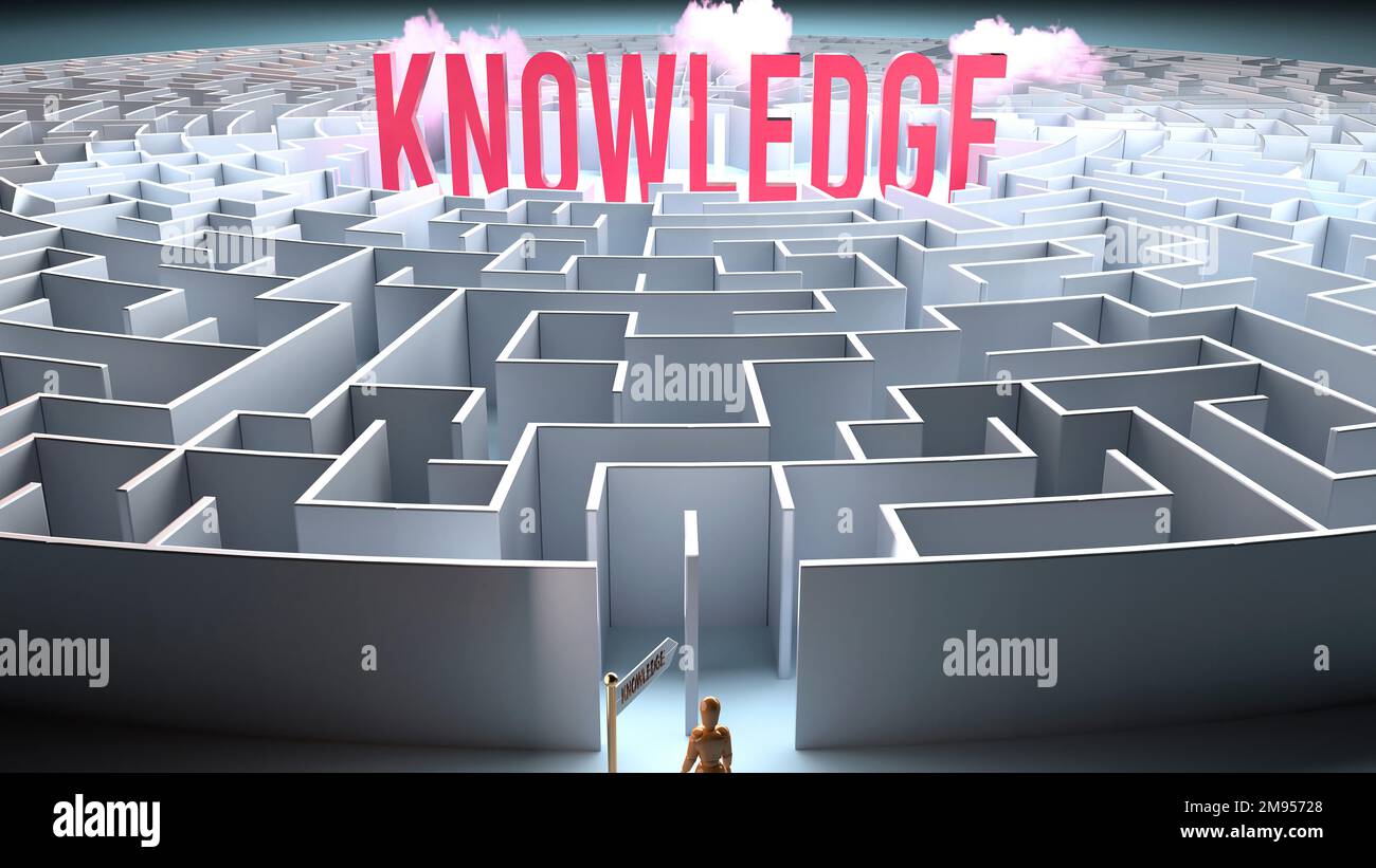 Knowledge and a challenging path that leads to it - confusion and ...