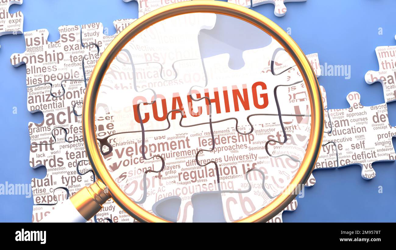 Coaching as a complex and multipart topic under close inspection ...