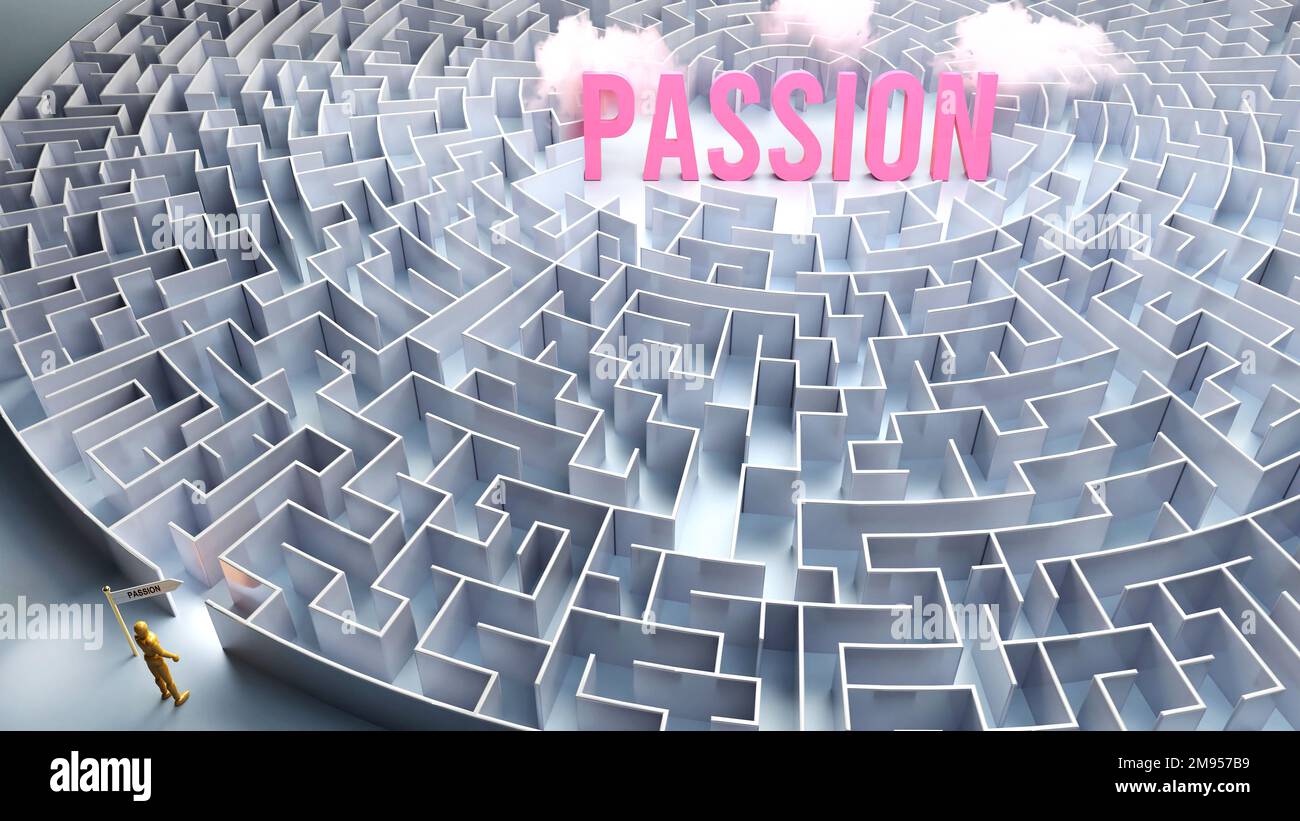 Passion and a difficult path, confusion and frustration in seeking it ...