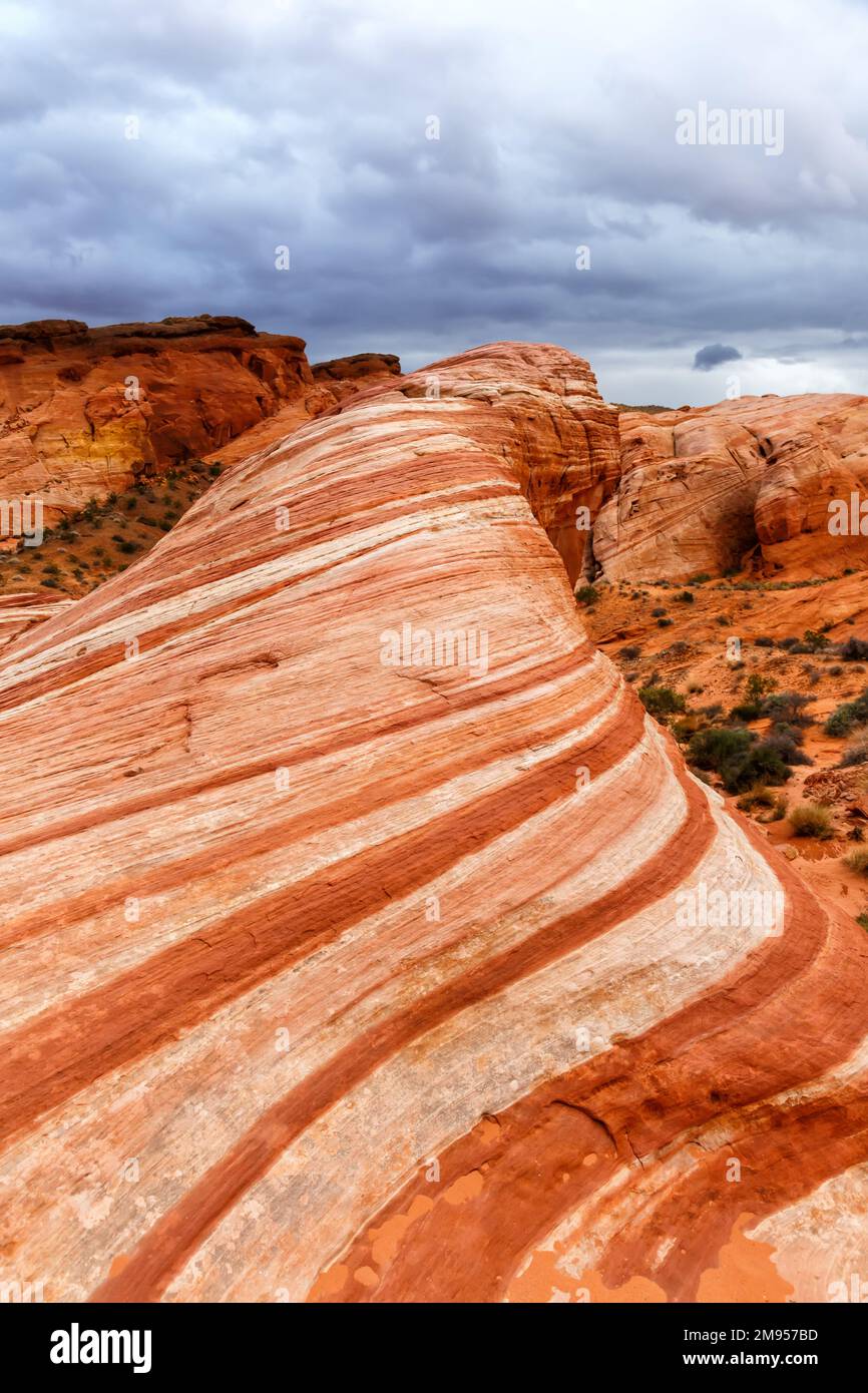 Red sandstone rock formation Fire Wave inside Valley of Fire State Park ...