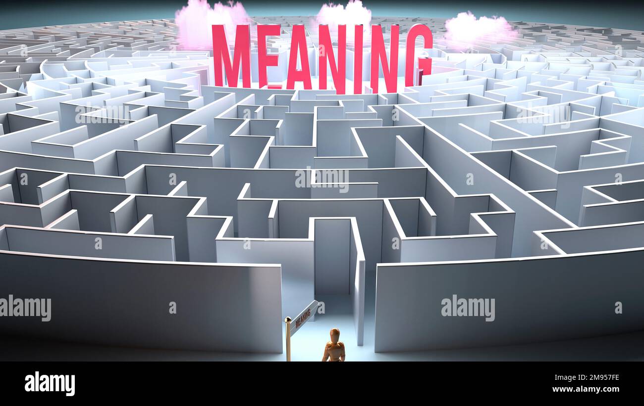 Meaning and a challenging path that leads to it - confusion and ...