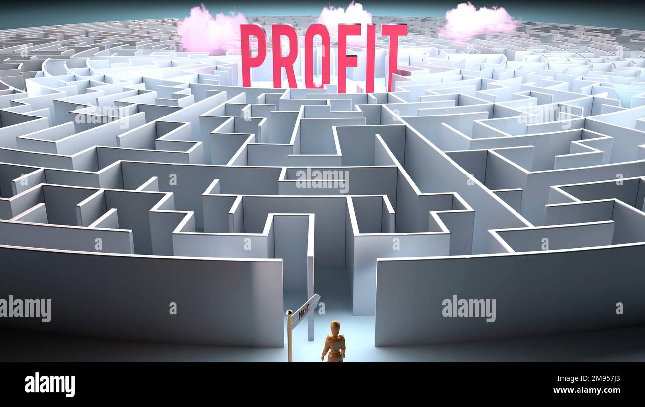 Profit and a challenging path that leads to it - confusion and ...