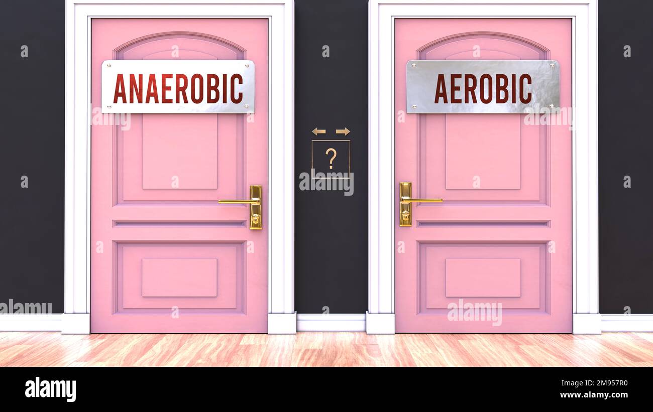 Anaerobic or Aerobic - making decision by choosing either one option ...