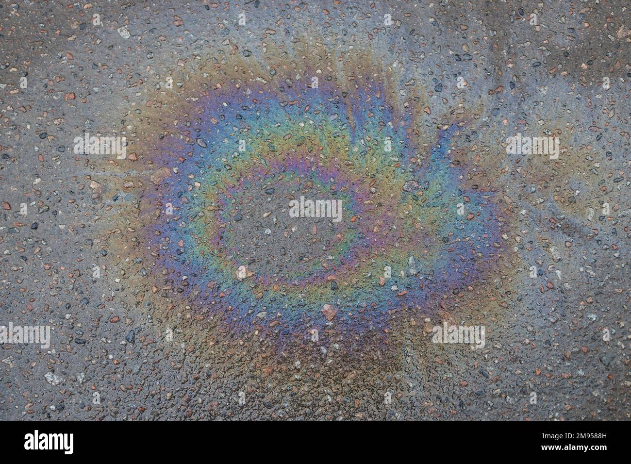 gasoline stain with rainbow colors on a wet asphalt road. Texture ...