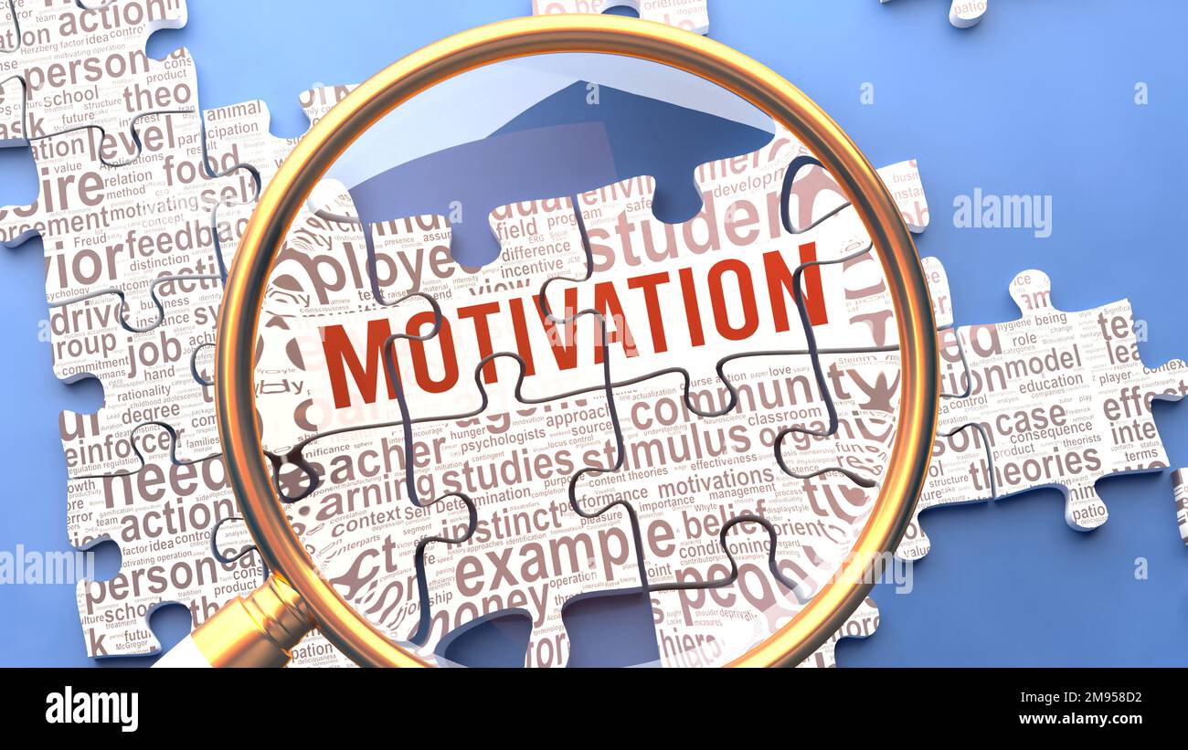 Motivation as a complex and multipart topic under close inspection ...