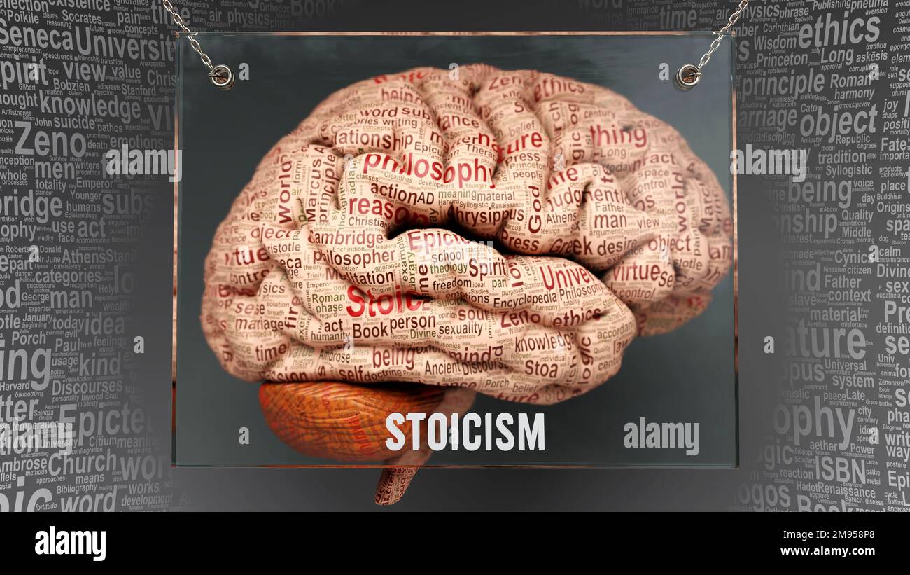 Stoicism in human brain - dozens of important terms describing Stoicism ...