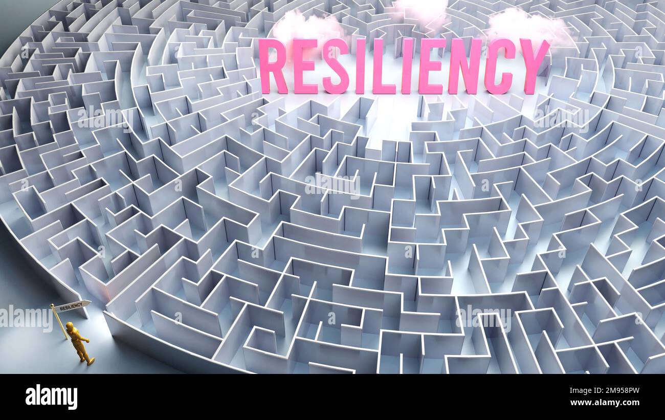Resiliency and a difficult path, confusion and frustration in seeking ...