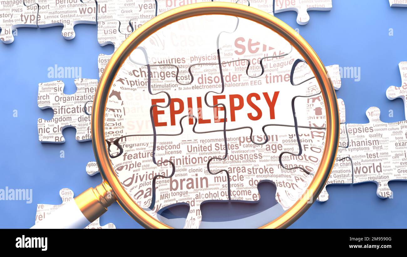 Epilepsy as a complex and multipart topic under close inspection ...