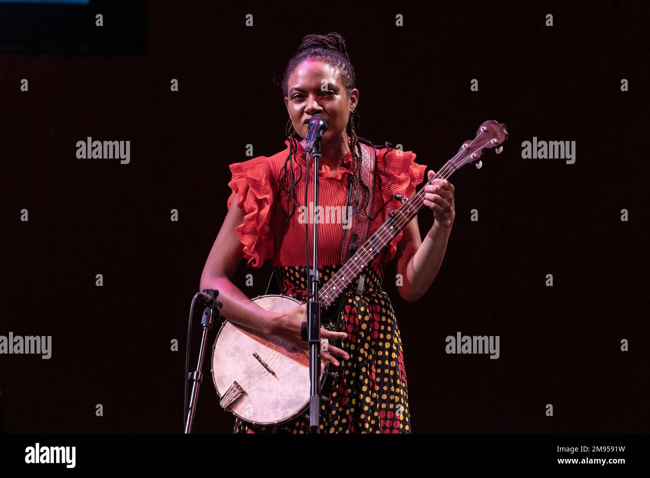 Allison Russell performs during The 36th Annual Brooklyn Tribute to Dr ...