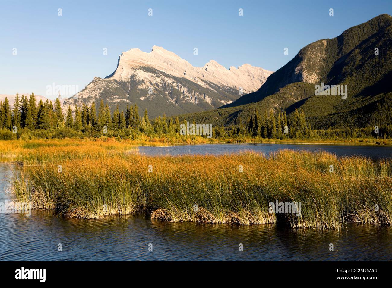 Canadian landscape of mount rundle and vermillion lakes located in ...