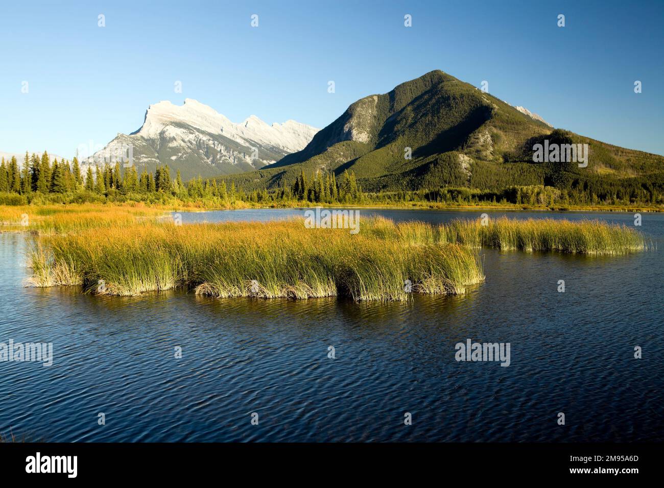 Canadian landscape of mount rundle and vermillion lakes located in ...