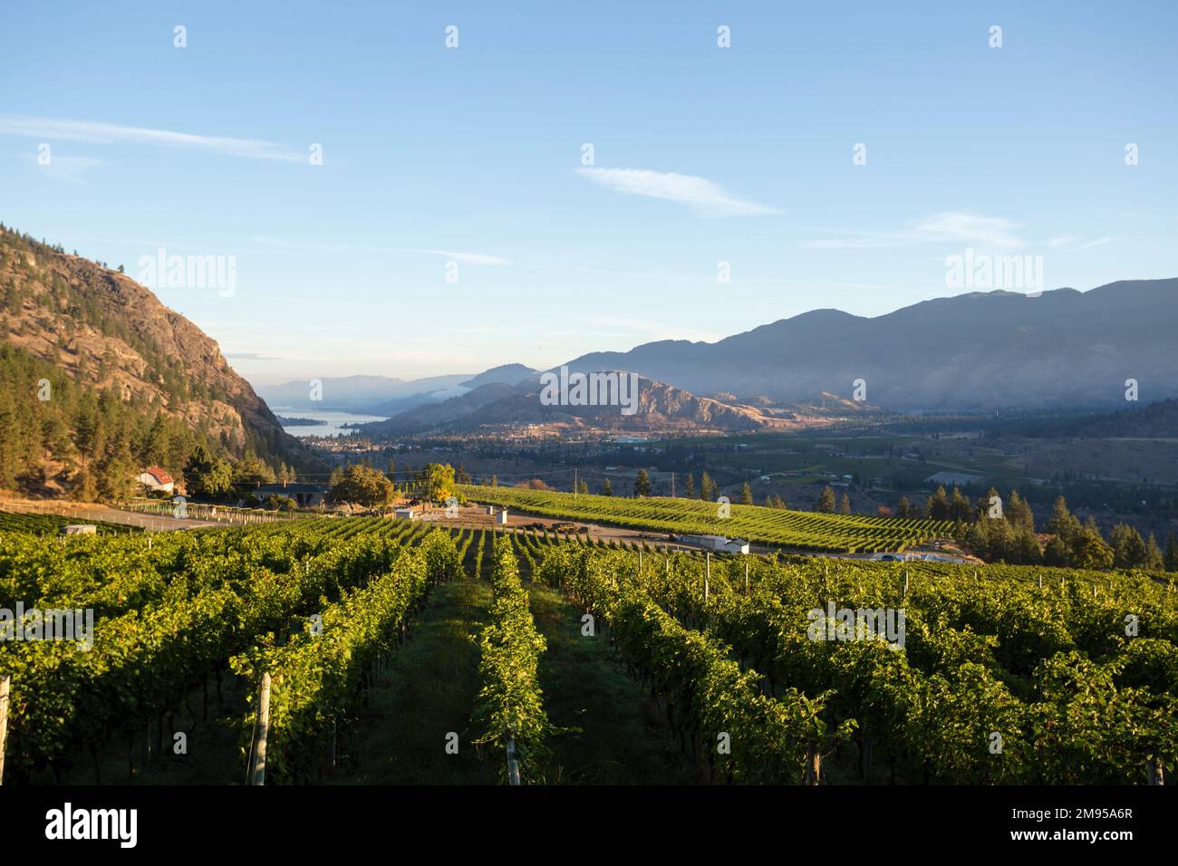 Winery and vineyard rows overlooking Skaha Lake located in Okanagan ...