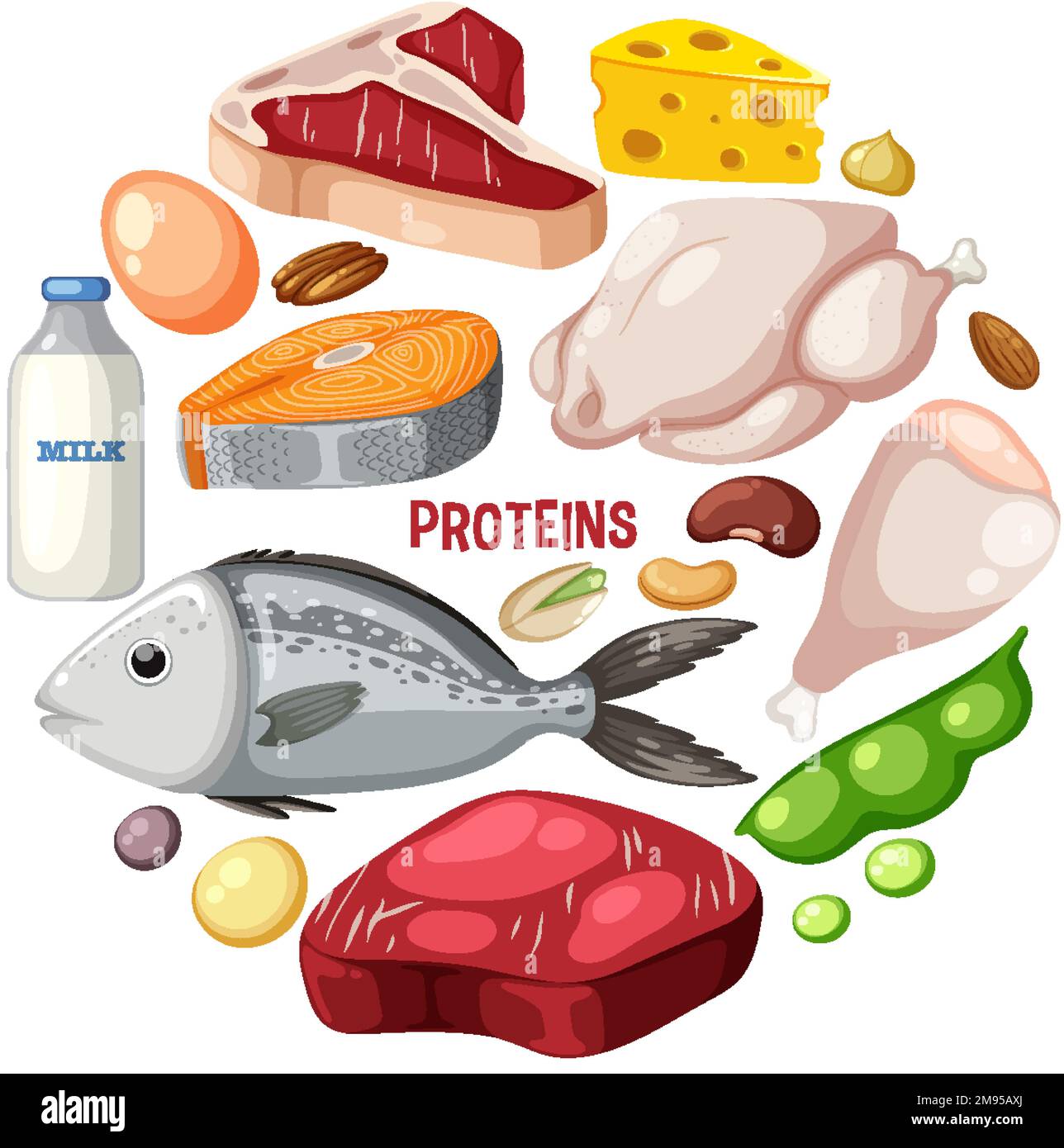 Variety of protein meats with text illustration Stock Vector Image ...