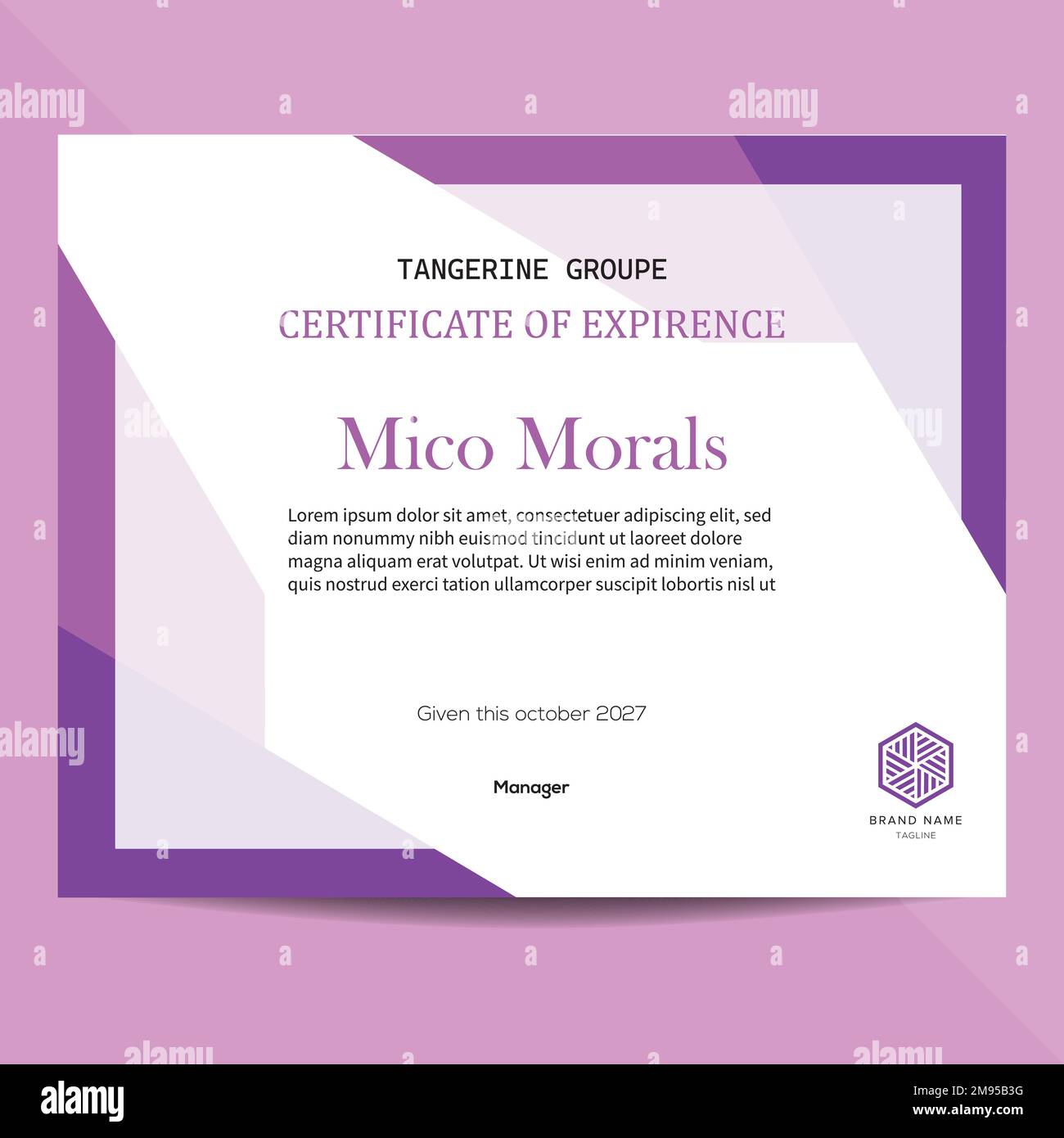 Modern and Creative experience letter template vector design Stock ...