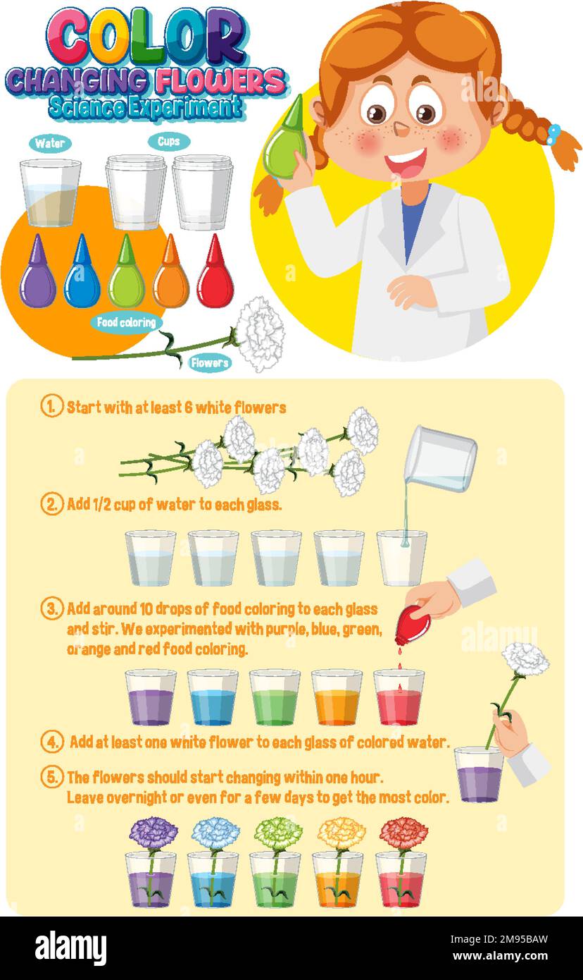 Changing flowers Stock Vector Images - Alamy