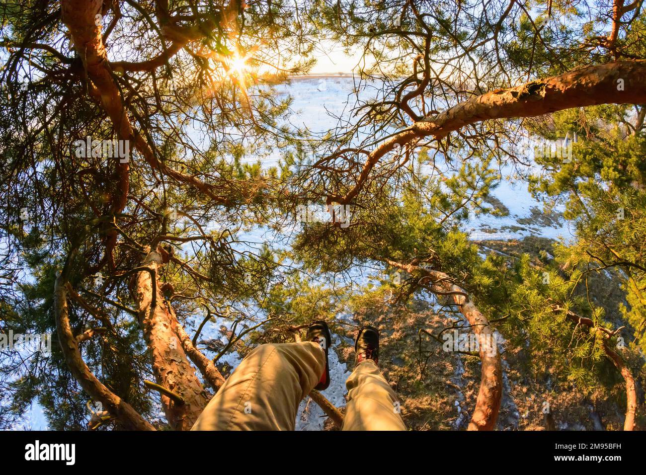 Fir feet hi-res stock photography and images - Alamy