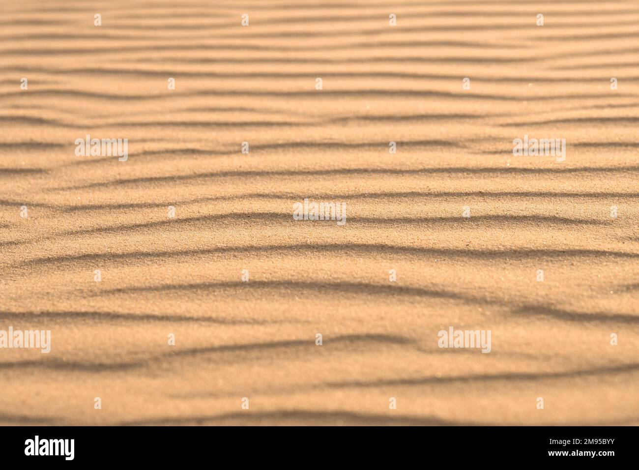 Sand background with dunes. Sand desert texture. low angle view Stock ...
