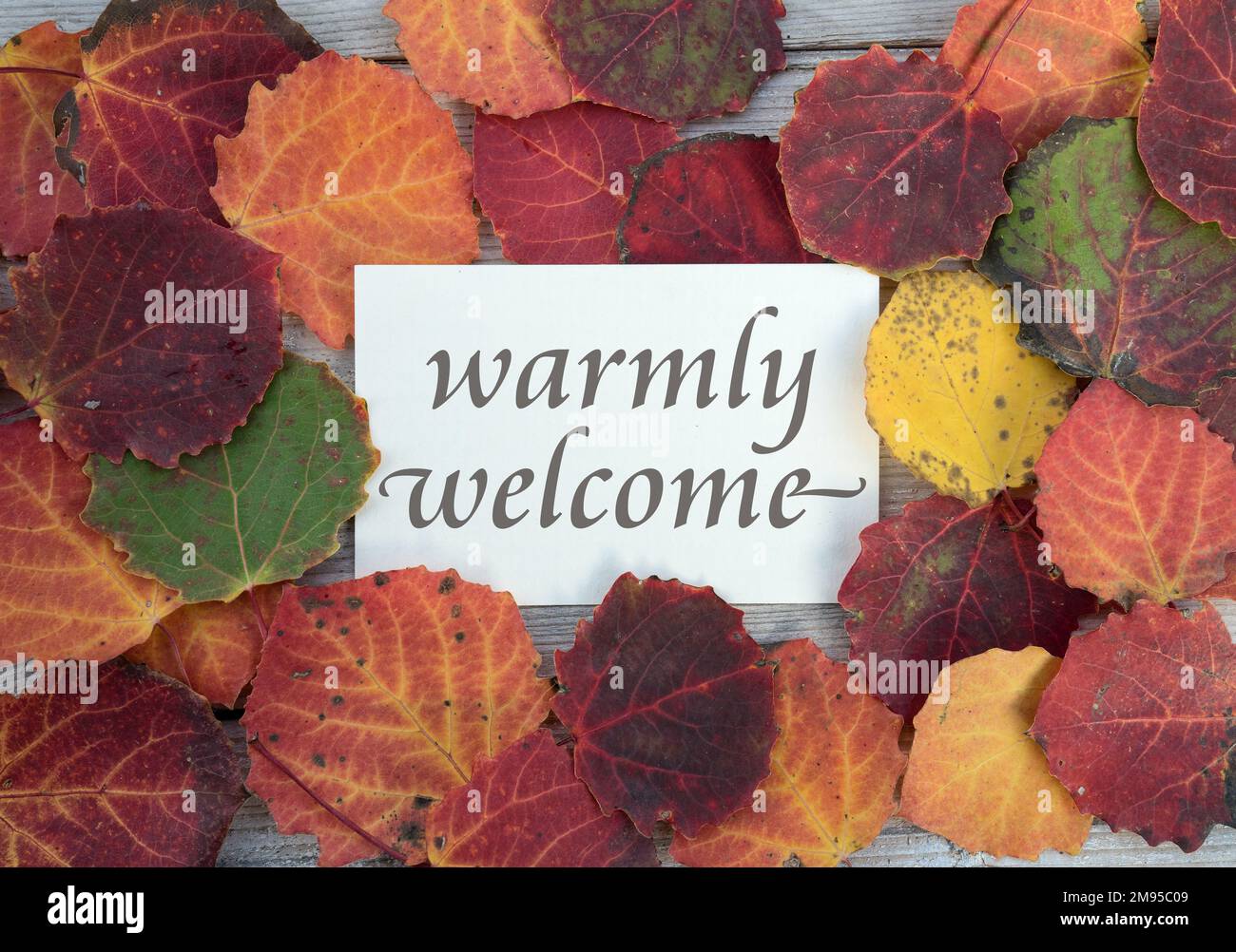 Card with colorful autumn leaves and English lettering: warmly welcome ...