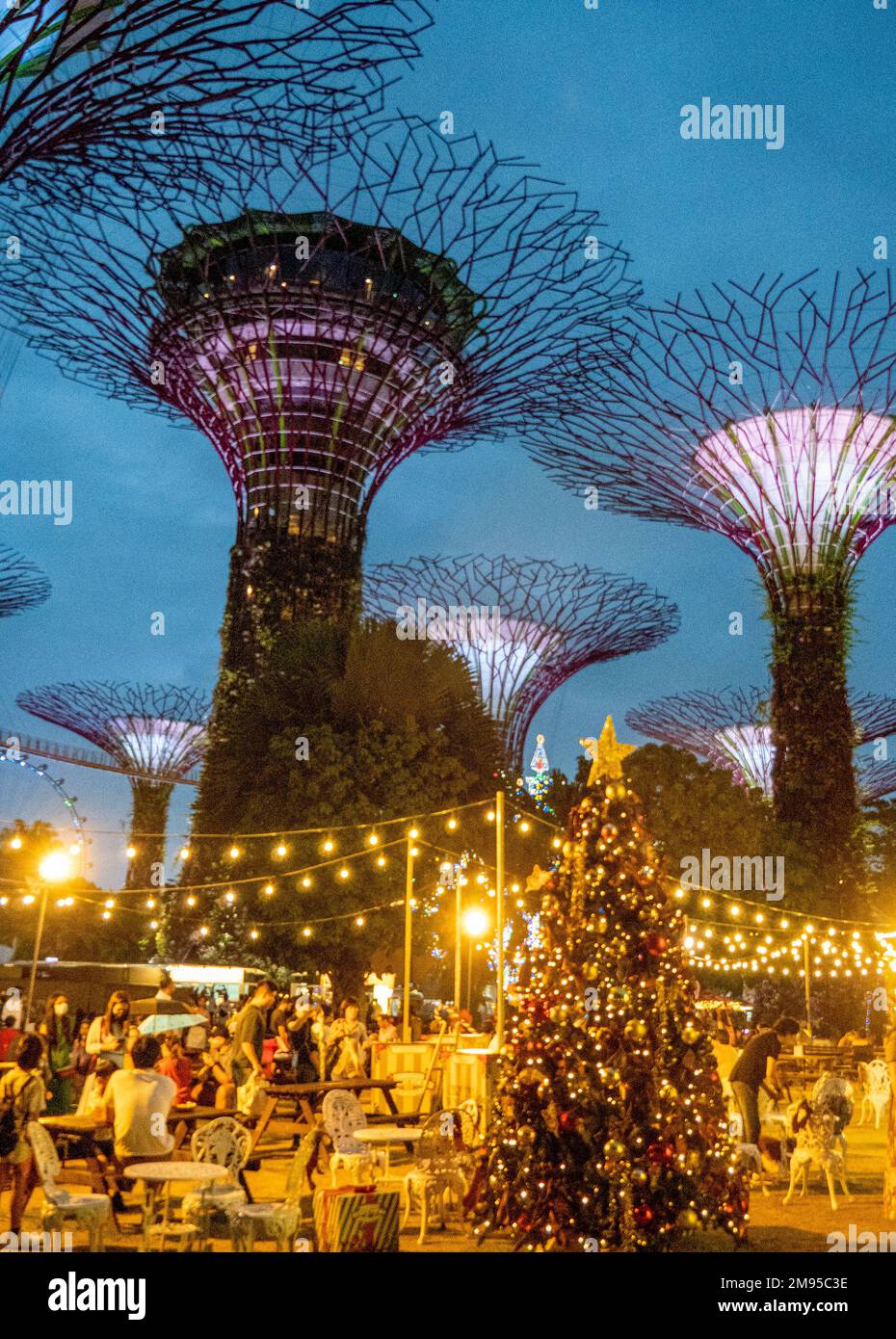 Illuminated Supertrees vertical gardens at night in Gardens By The Bay ...