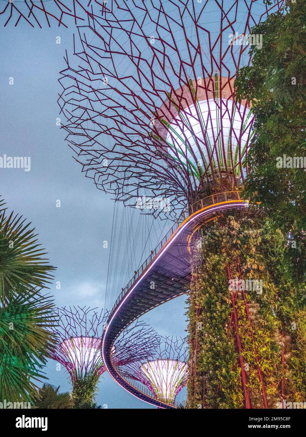 Illuminated Supertrees vertical gardens connected by a skybridge at ...