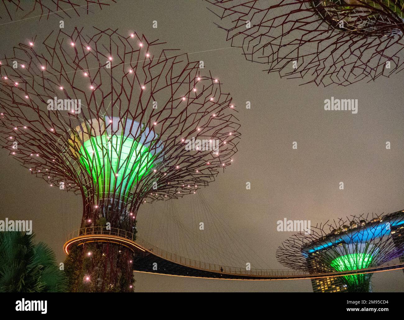 Illuminated Supertrees vertical gardens connected by a skybridge at ...
