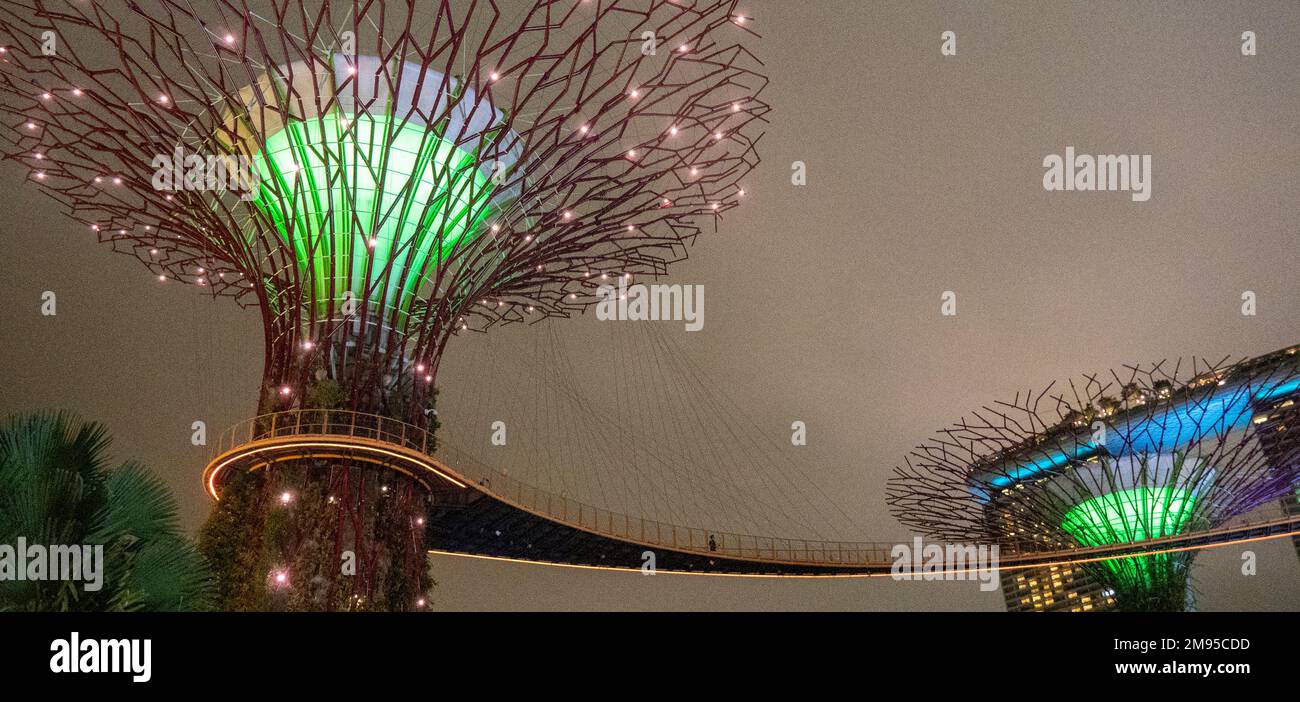 Illuminated Supertrees vertical gardens connected by a skybridge at ...