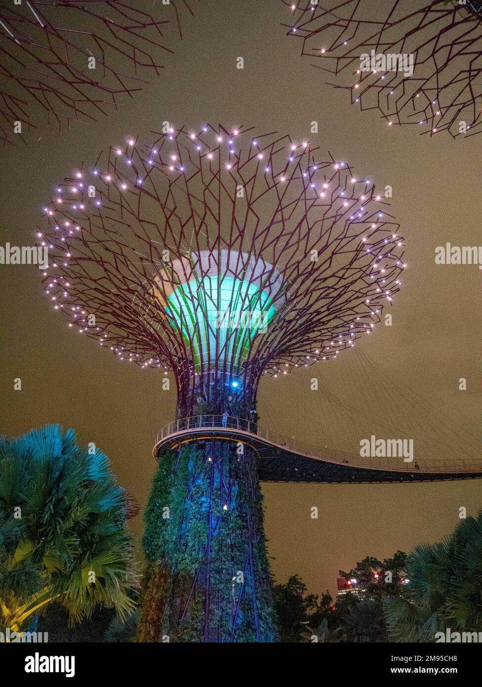 Illuminated Supertree vertical garden at night in Gardens By The Bay Singapore Stock Photo - Alamy