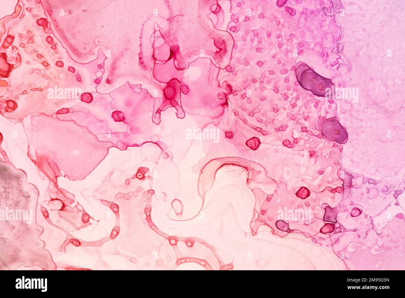 Abstract bright red pink and purple alcohol ink paint drops and ...