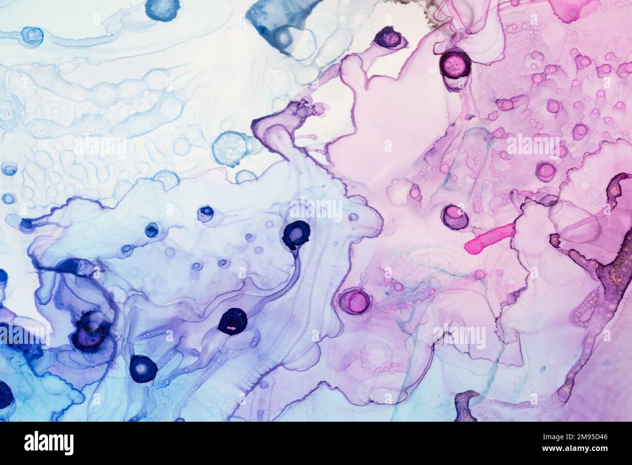 Abstract bright red pink and purple alcohol ink paint drops and ...