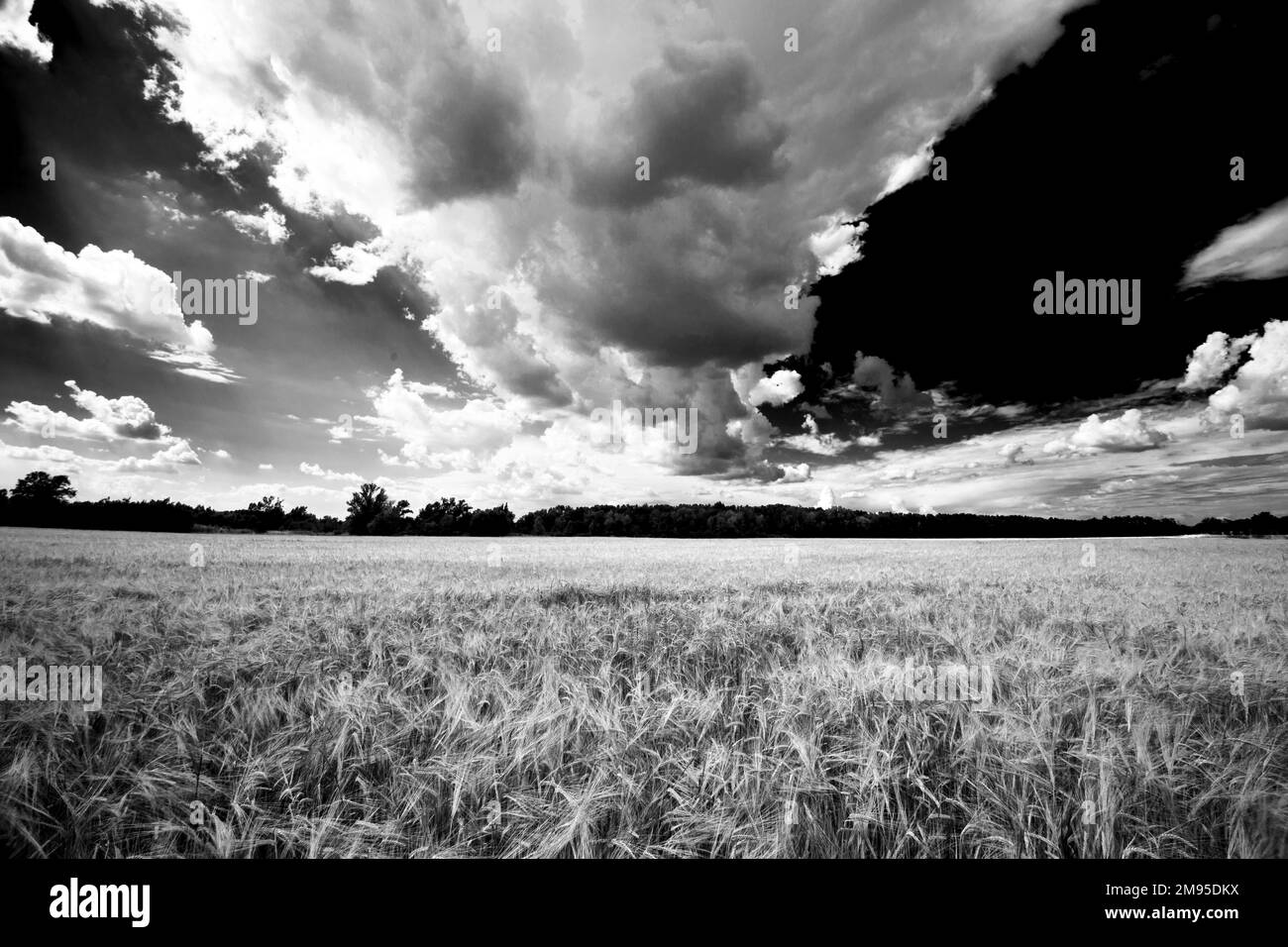 Smooth landscape Black and White Stock Photos & Images - Alamy