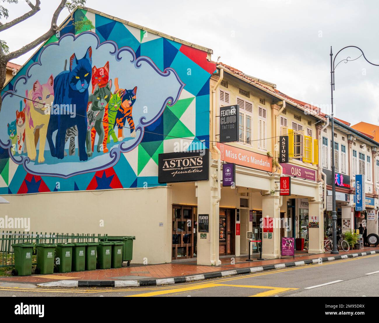 Cat mural paint on a side wall of a row of shophouses on Joo Chiat Rd ...