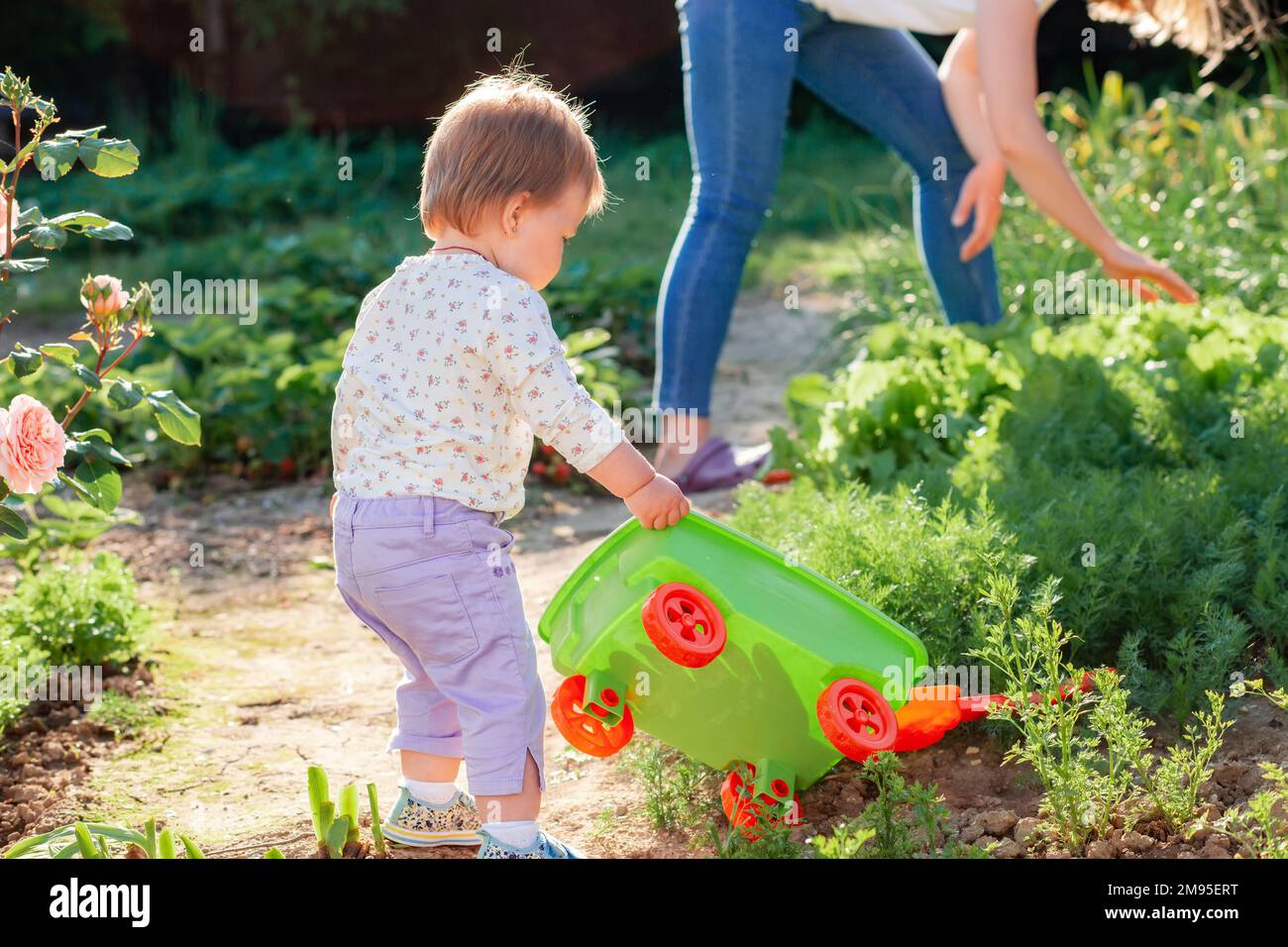 Baby girl playing with a plastic cart in the vegetable garden. Back ...