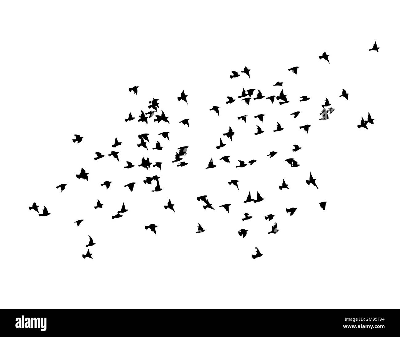 A flock of flying birds. Free birds. Vector illustration Stock Vector ...