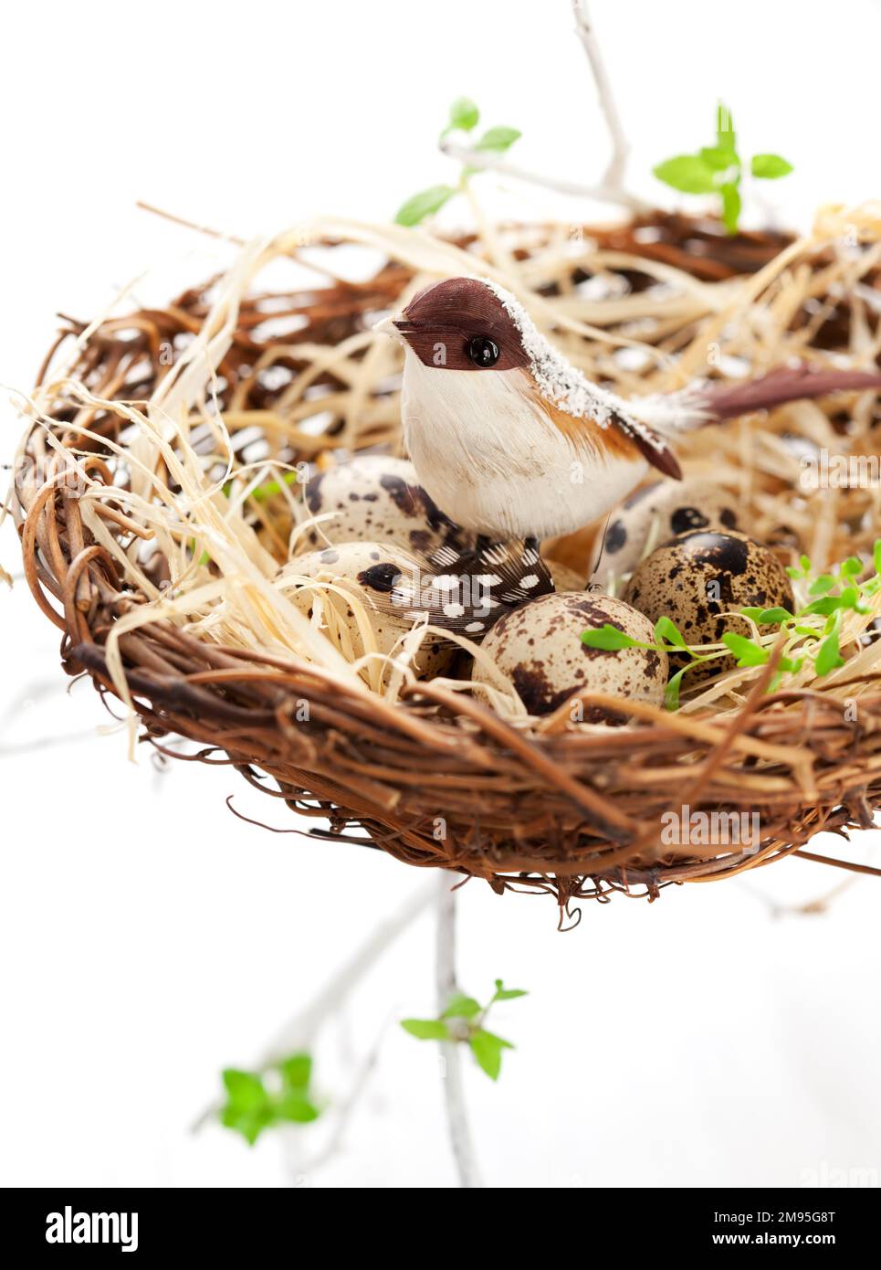 Decorative small birds, quail's eggs and birds feathers in an Easter ...