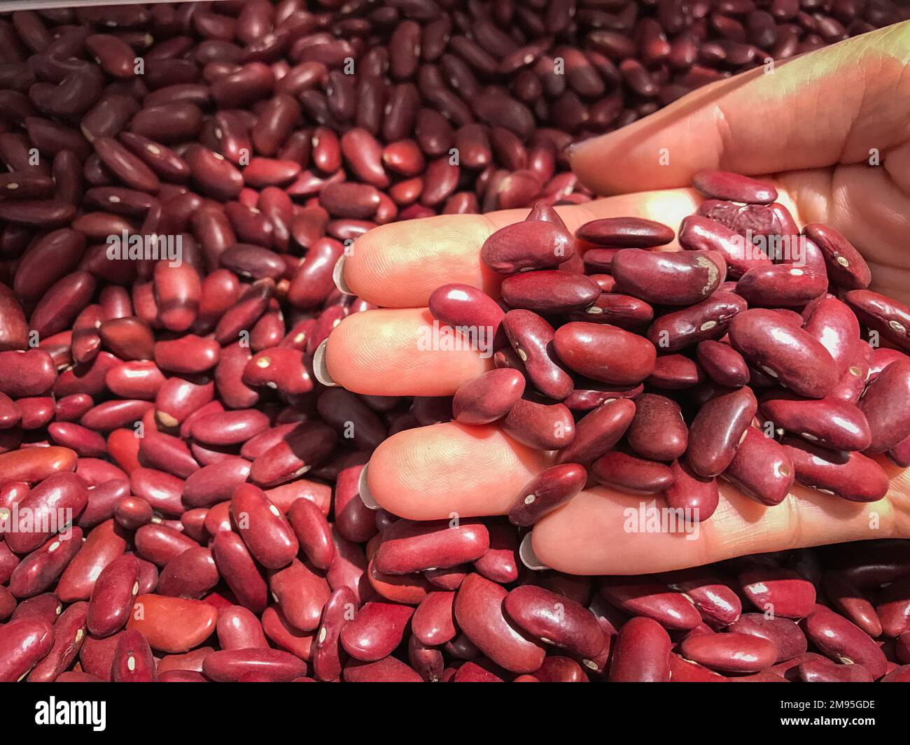 Woman hands holding red beans background Stock Photo - Alamy