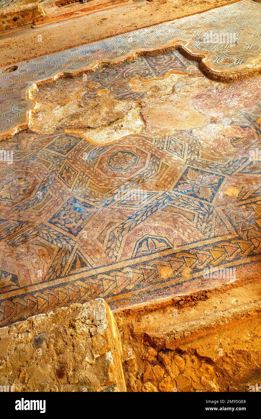 Roman Mosaic, La Olmeda Roman Village, Archaeological Site, Spanish ...