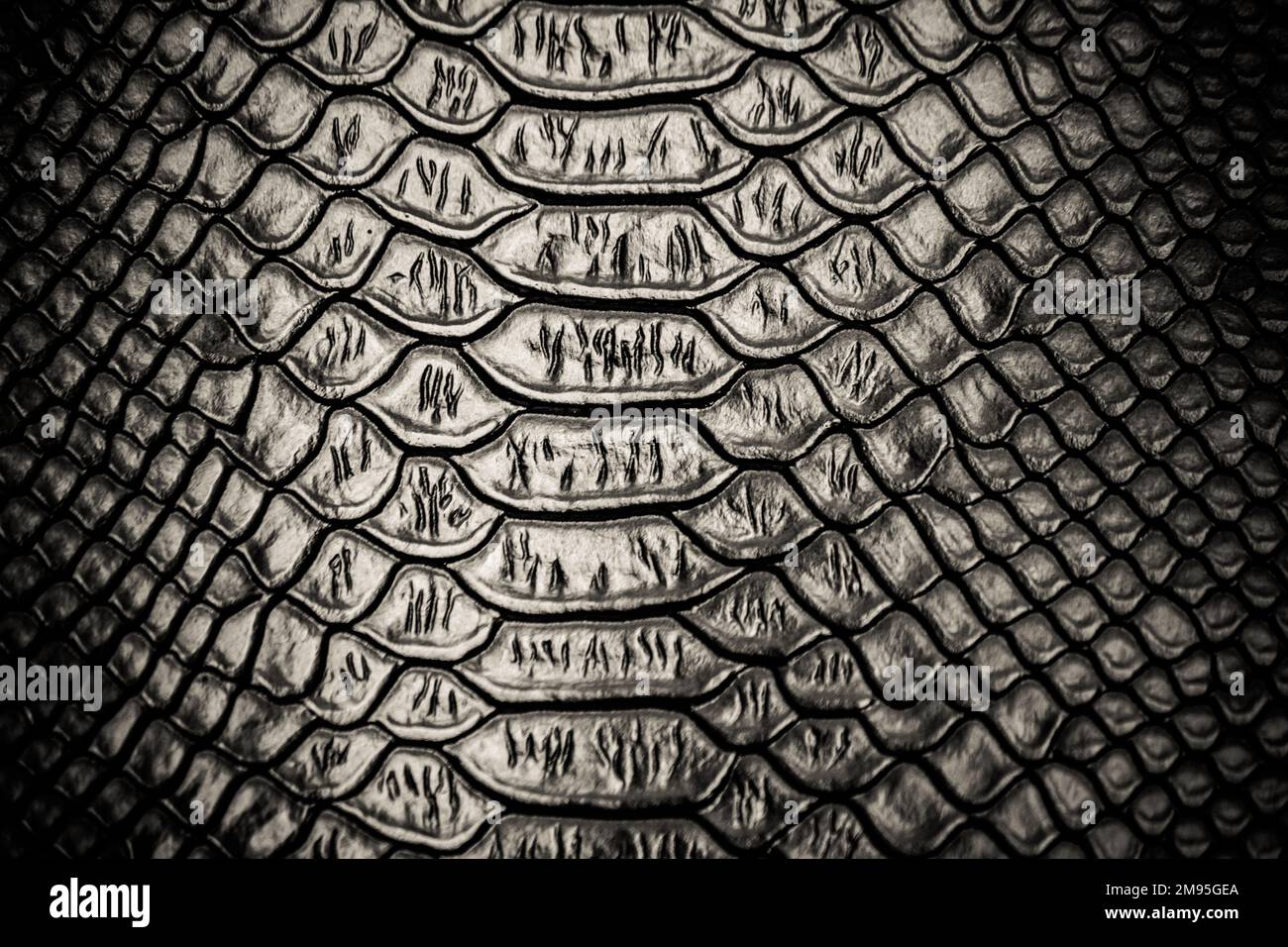 Black snake skin pattern texture background Stock Photo - Alamy