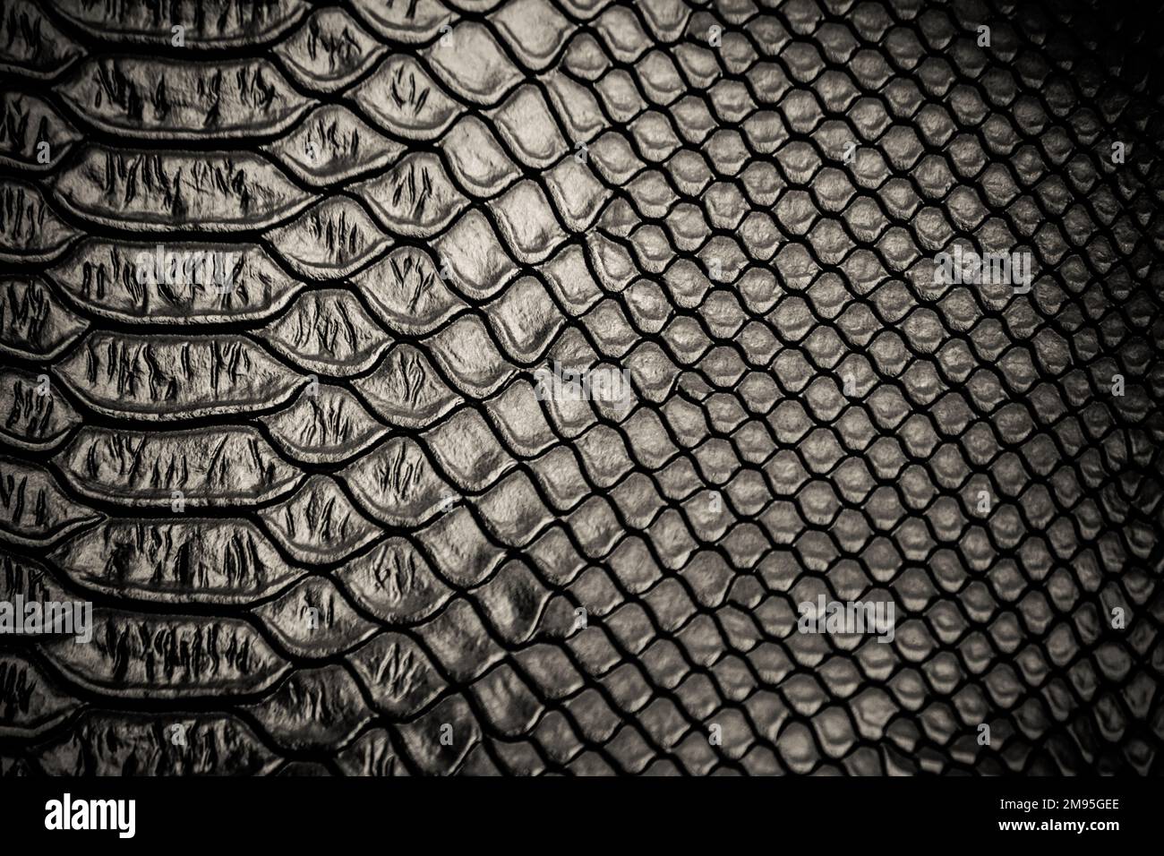 Black snake skin pattern texture background Stock Photo - Alamy