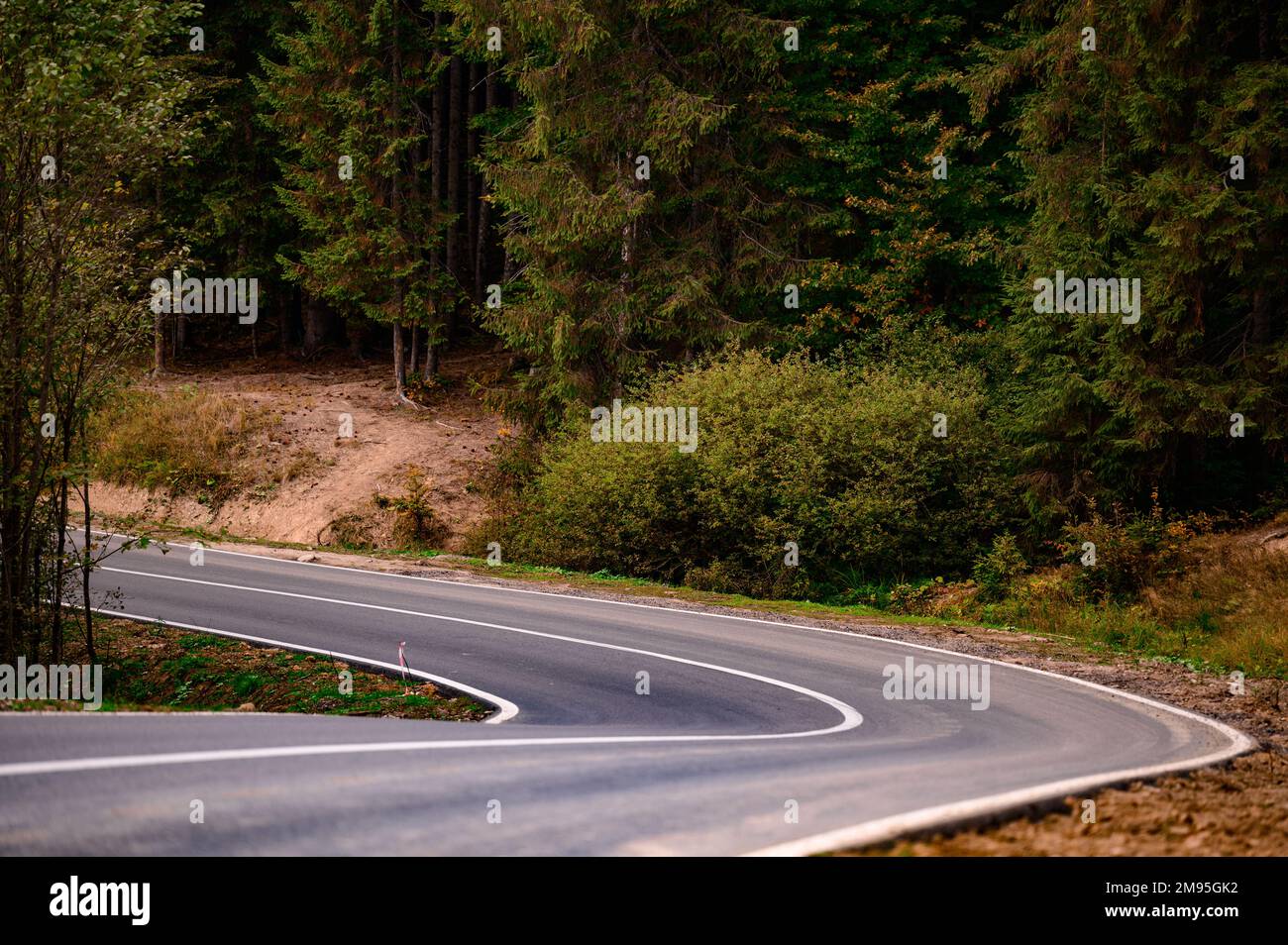 Beautiful mountain curved road in the forest, Landscape with an empty ...