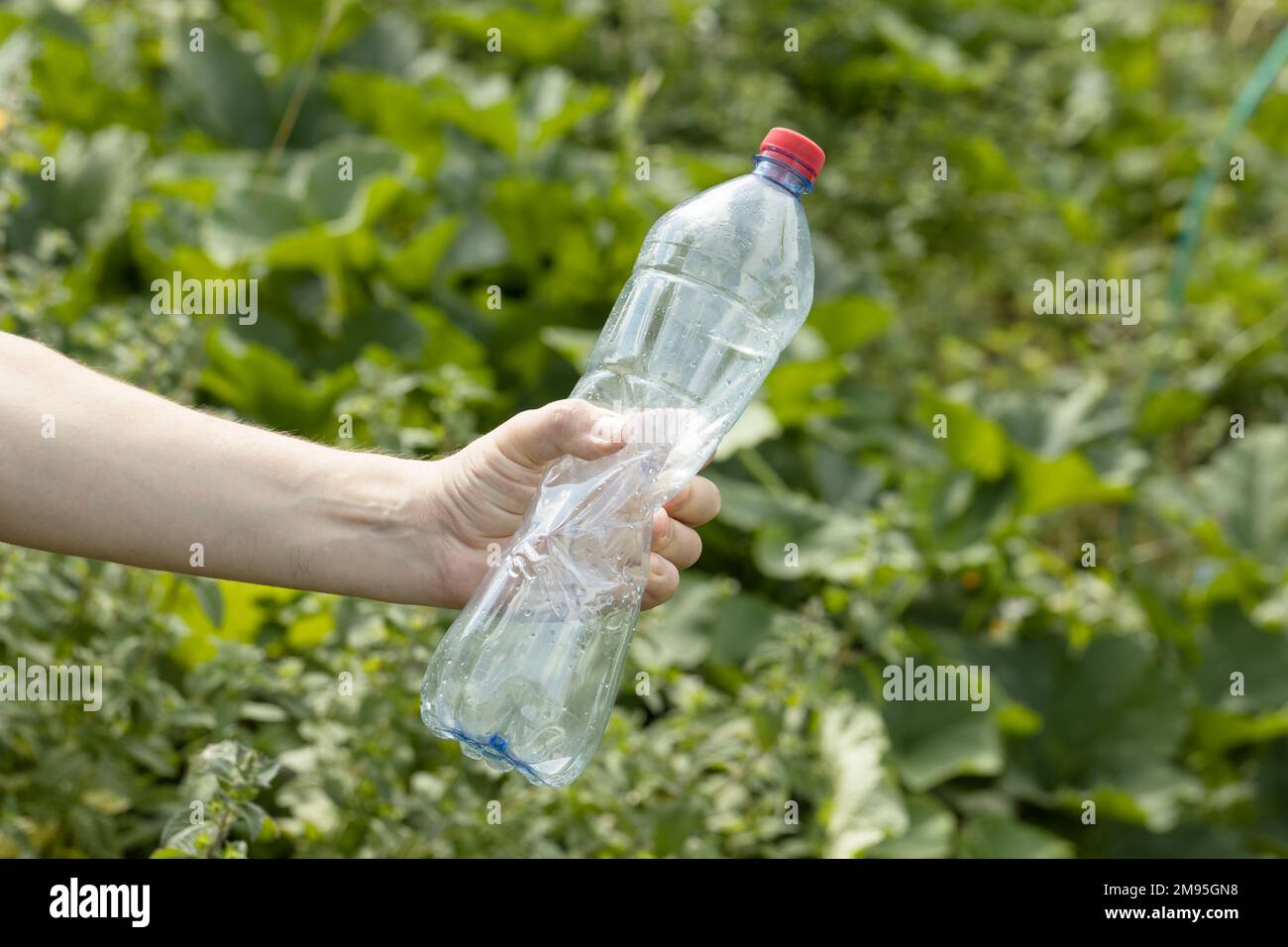 Hand holding crumpled empty plastic bottle in the park Stock Photo - Alamy