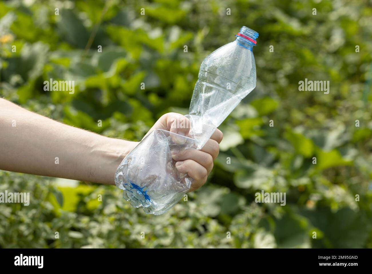 Hand holding crumpled empty plastic bottle in the park Stock Photo - Alamy