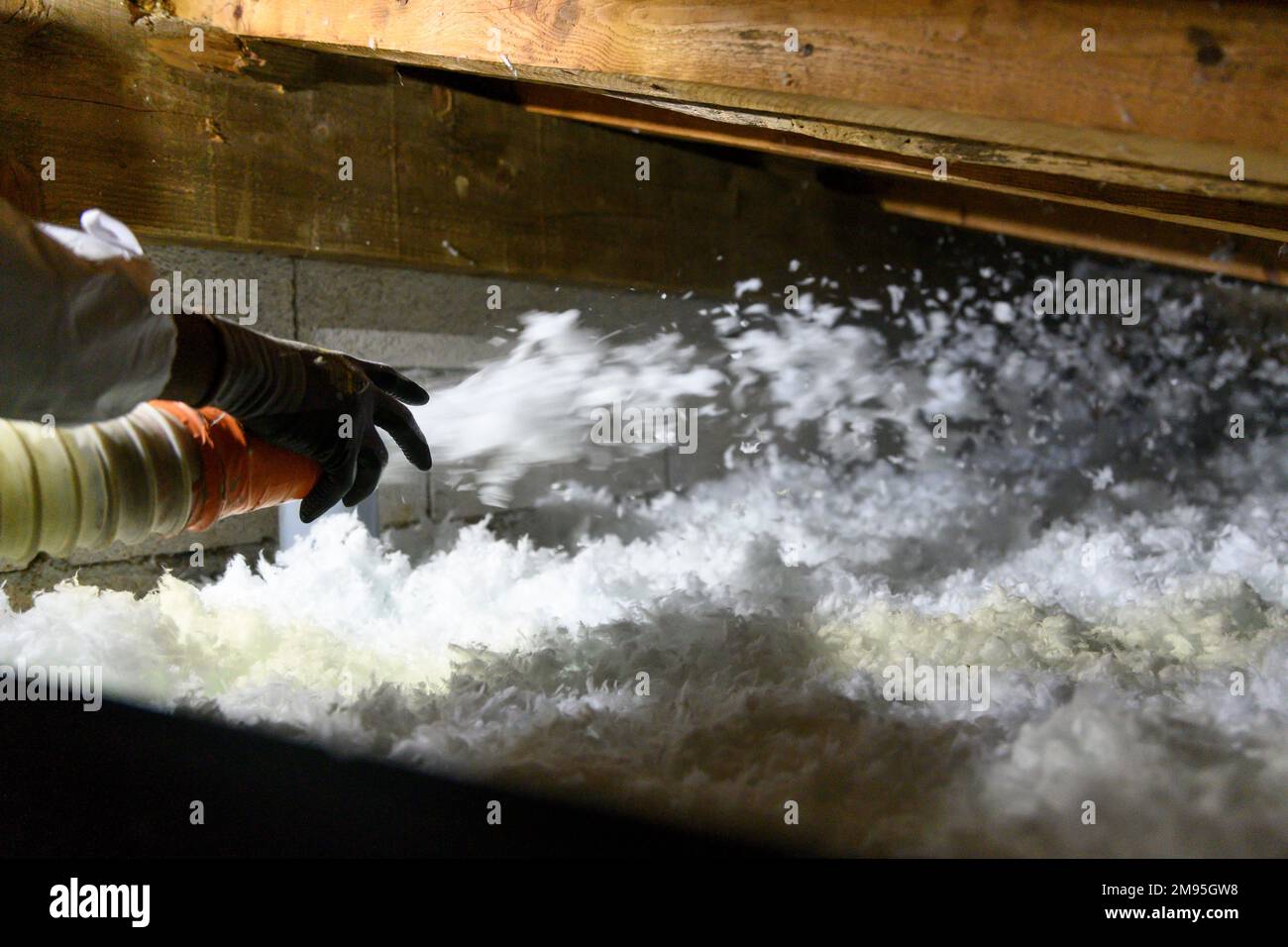 Insulation of an attic with cellulose wadding Stock Photo - Alamy