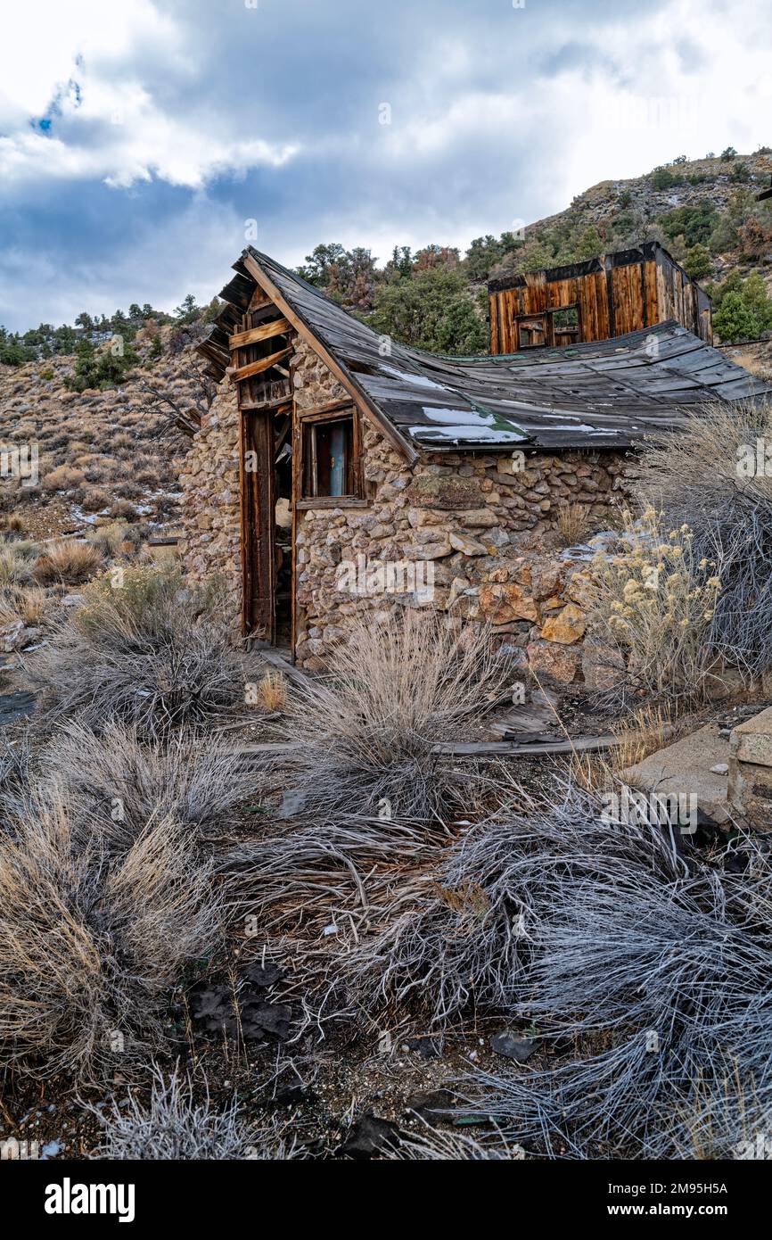 Overgrown sagebrush surrounds a dilapidated stone shack at an abandoned ...