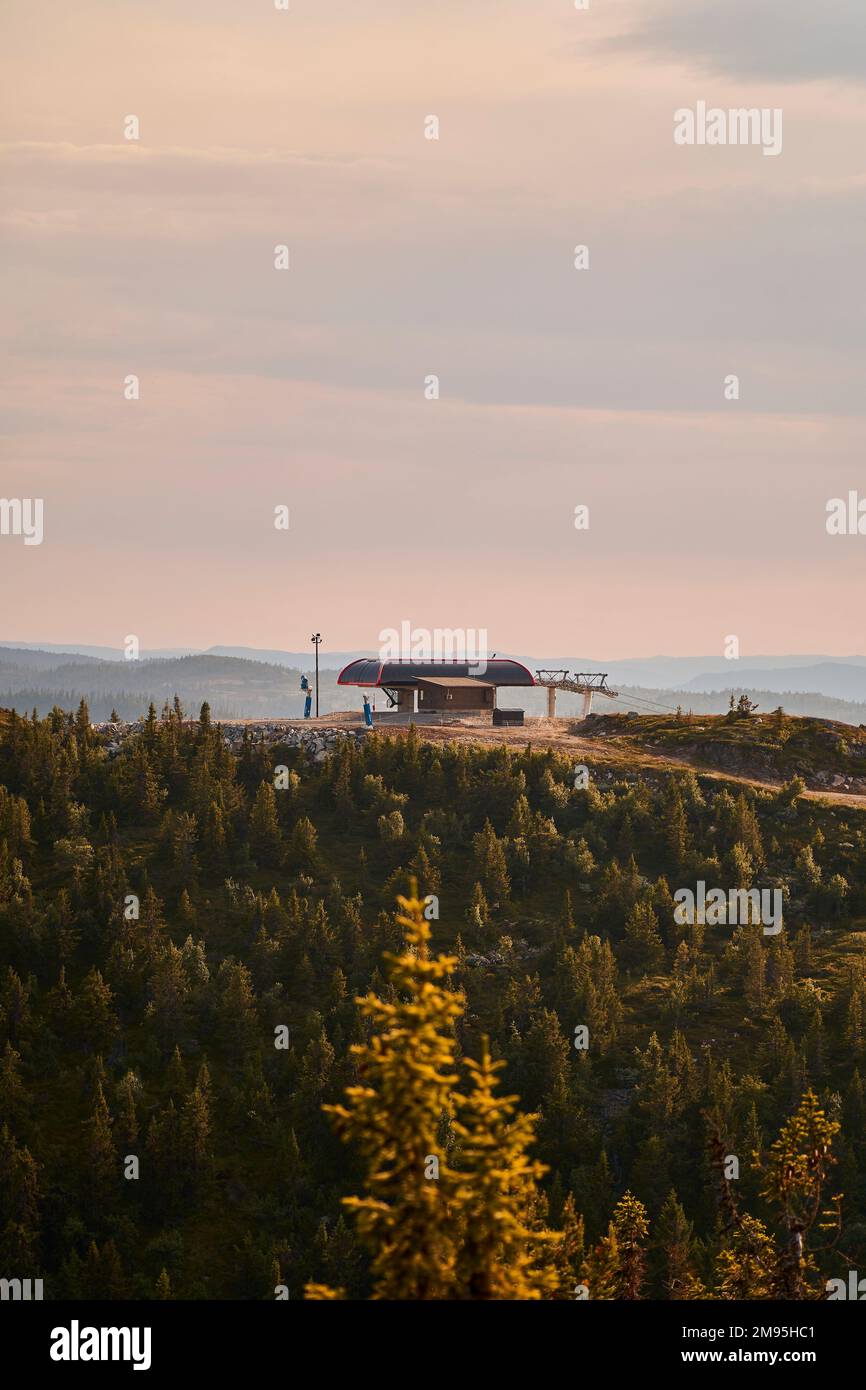 A vertical shot of a chairlift structure and evergreen trees in a park ...