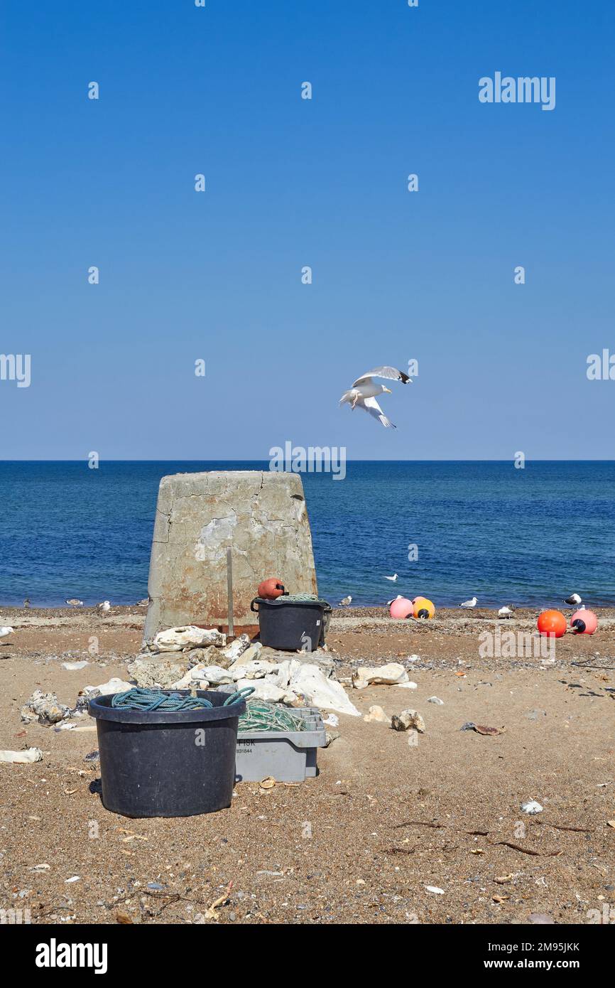 Gull and fishing utensils on Klitmoeller Beach, Thisted Municipality ...