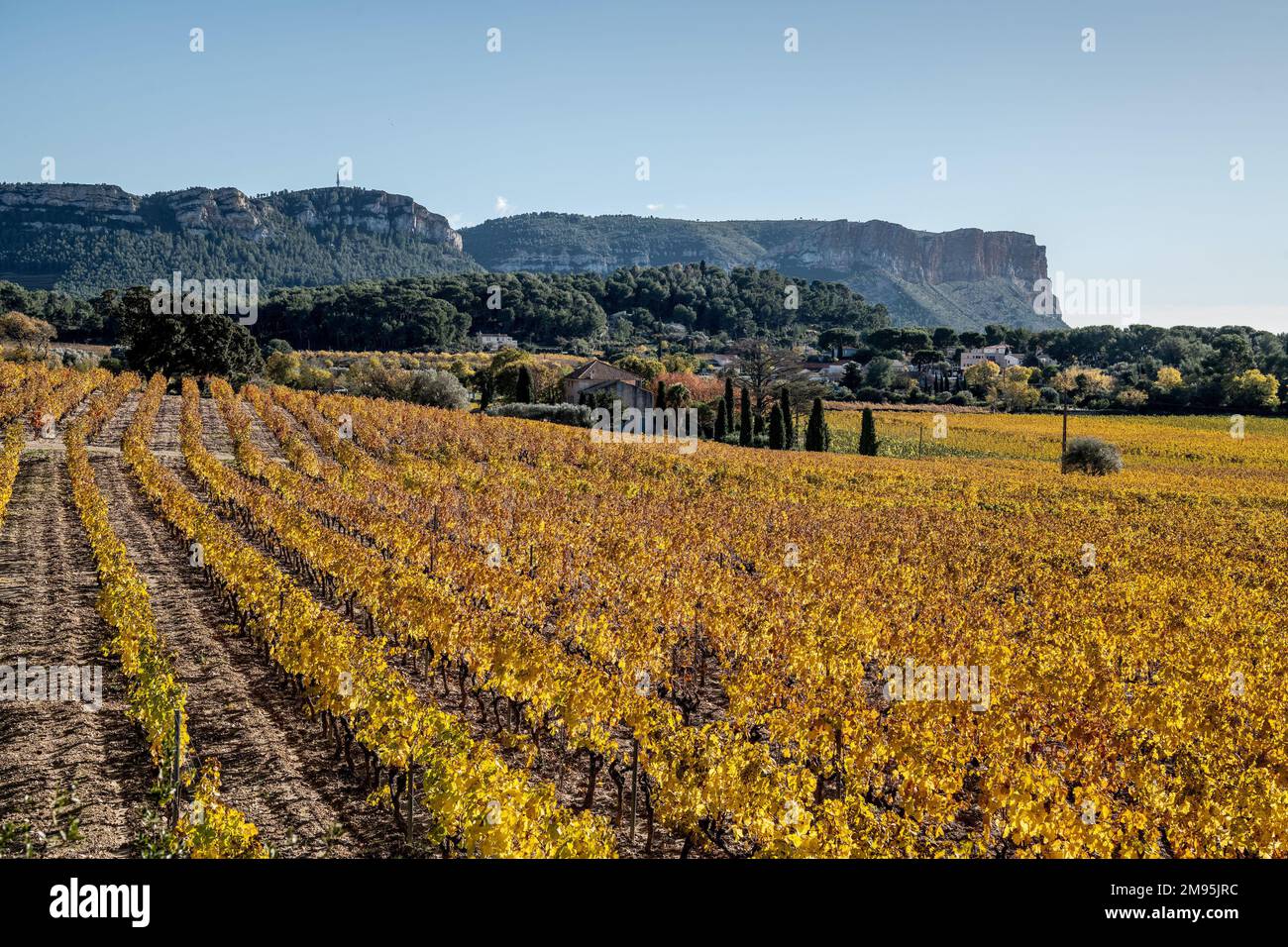 Cassis vineyard hi-res stock photography and images - Alamy